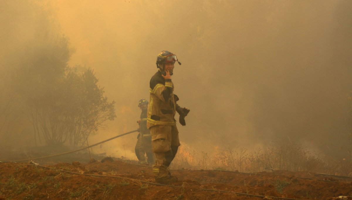 Onemi Reporta 32 Incendios Forestales Activos A Nivel Nacional Diario
