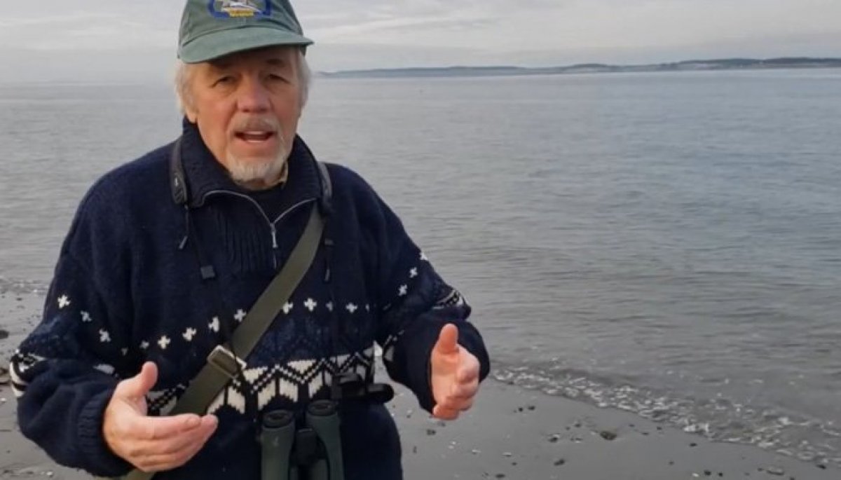 Historiador australiano ofrece 10 mil dólares para recuperar archivos ...