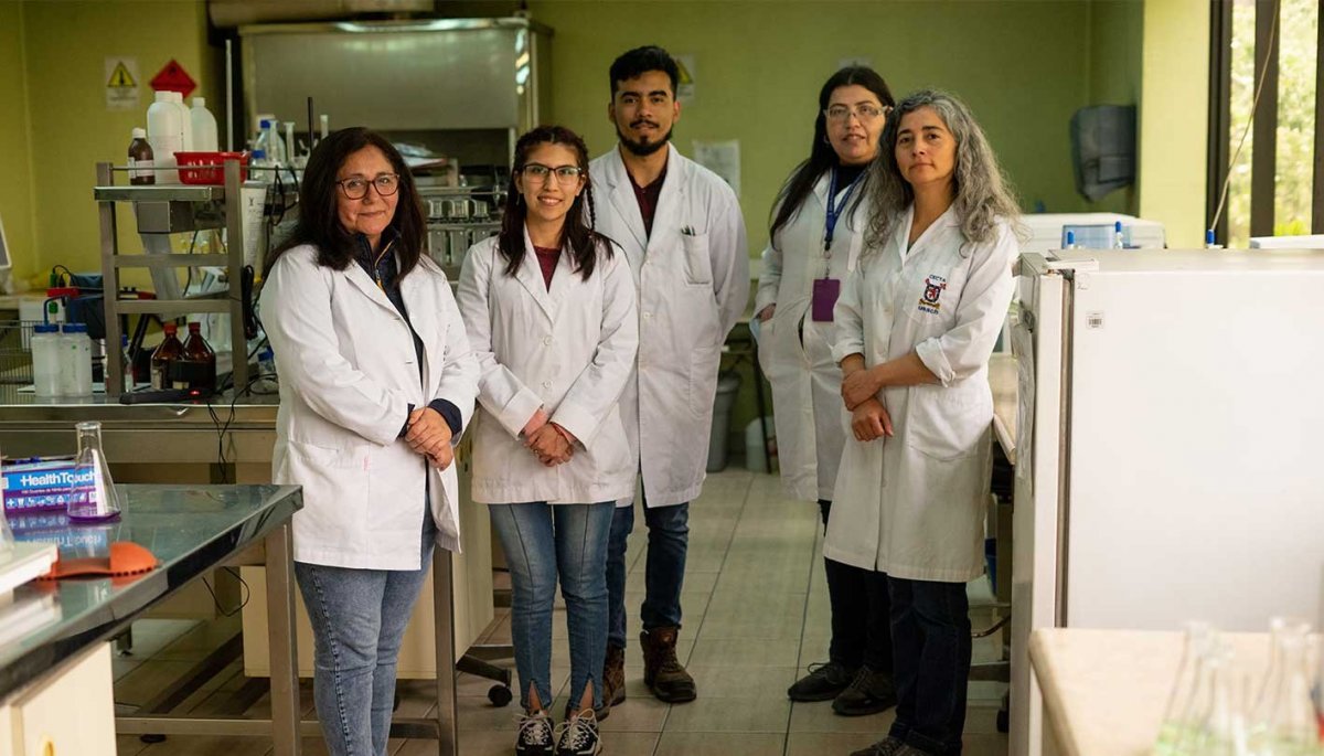 Cecta Usach se acredita por 5 años más en análisis para áreas de ...