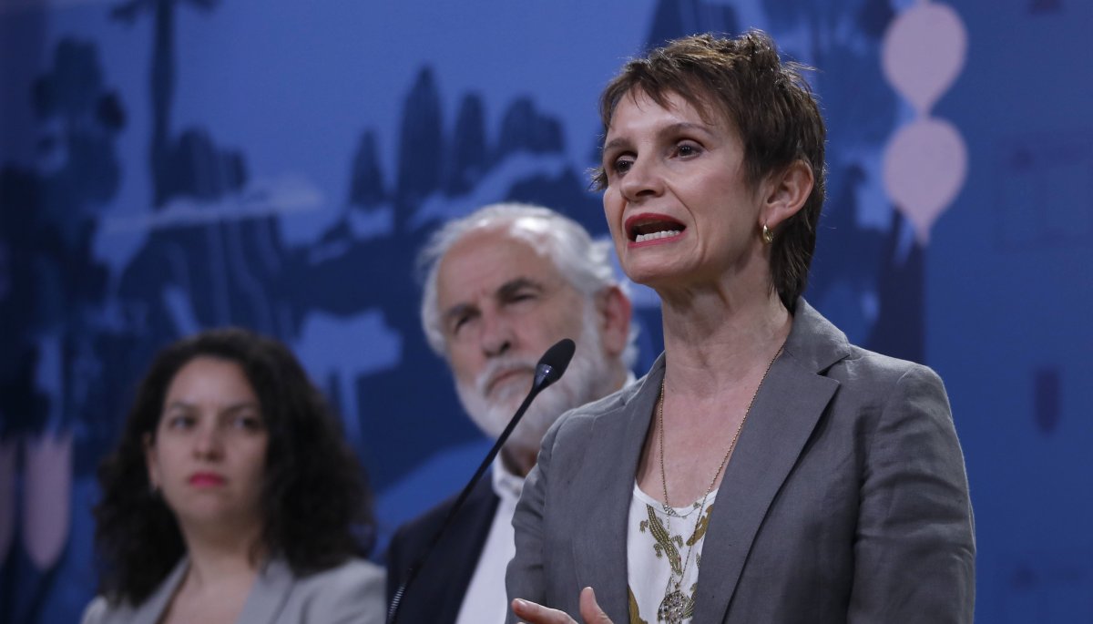 Ministra Tohá hace llamado al oficialismo: "Lo importante hoy día es la ...