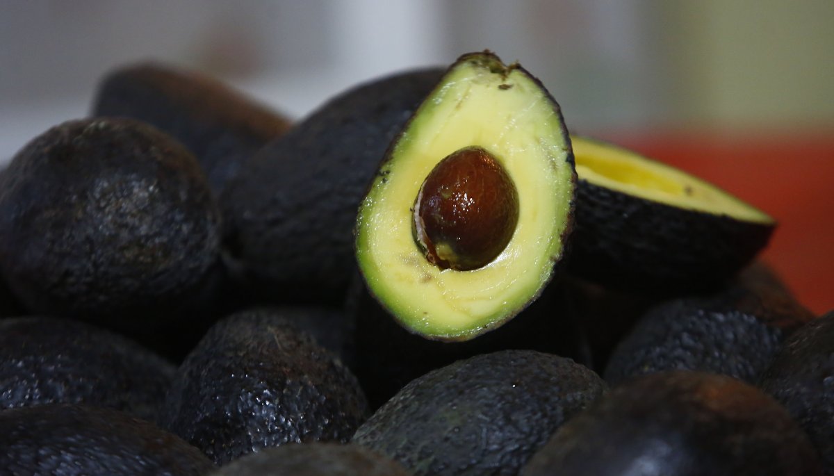 Kilo de palta podría llegar a los nueve mil pesos a fines de marzo ...