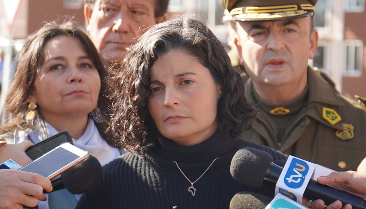 Dresdner y críticas por ONG: “Acá no hay nada que se haya hecho fuera ...