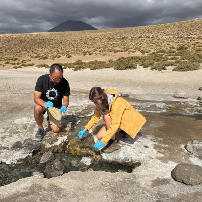 Descubren en Chile una nueva y enigmática especie de dinosaurio ... Descubren en Chile una nueva y enigmática especie de dinosaurio ...
