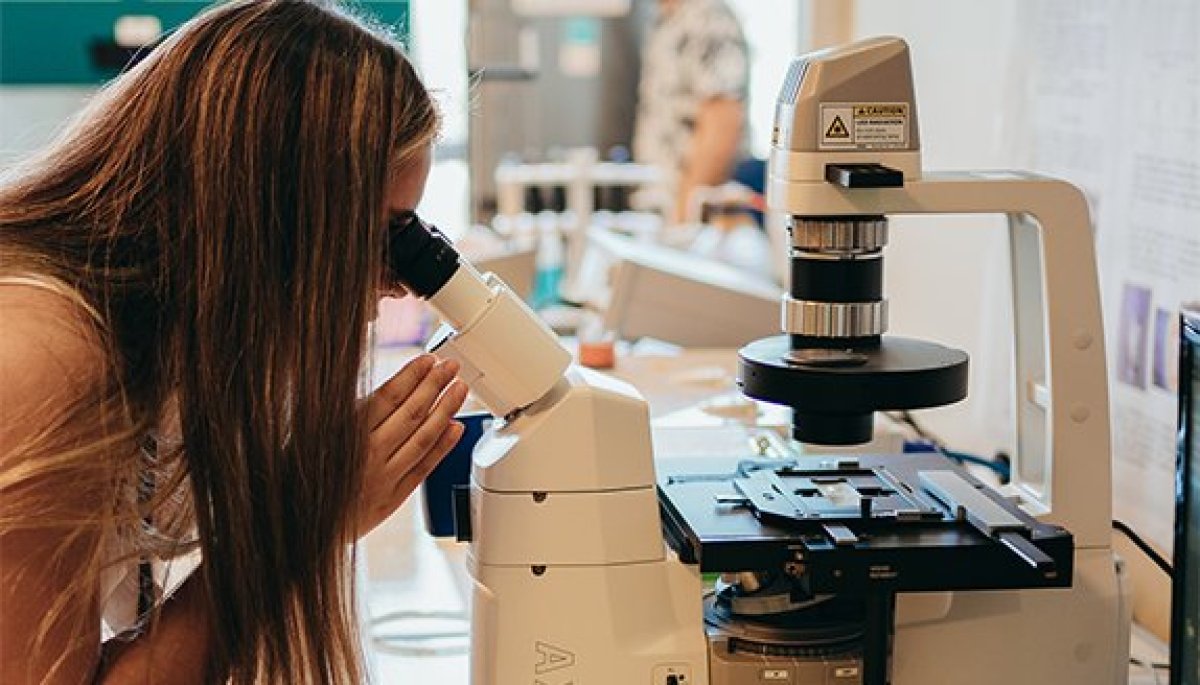 Fondecyt Regular 2024: Usach se posiciona como la segunda universidad pública con mayor cantidad ...