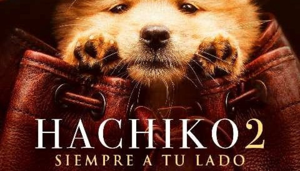Hachiko 2: Siempre a tu lado | Diario Usach