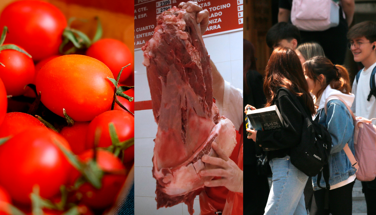 IPC de marzo varió 0,5%: Enseñanza universitaria, tomates y carne los ...