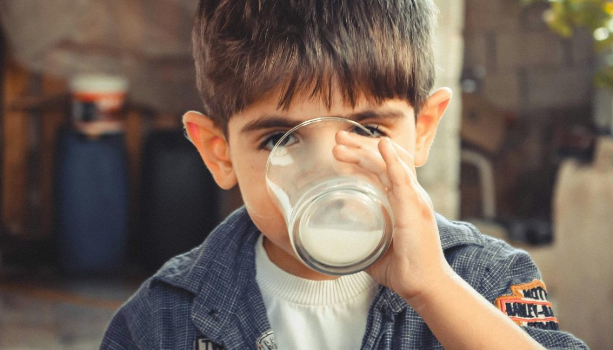 Leche entera, semidescremada o en el polvo: mitos y verdades sobre un alimento esencial | Diario ...