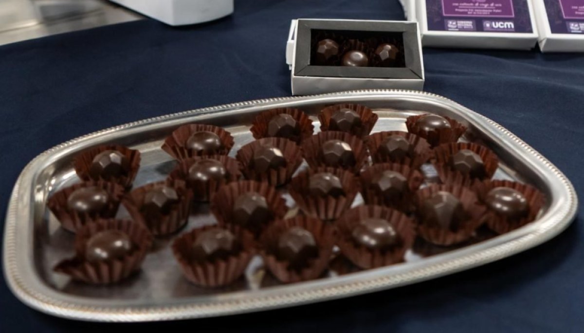 Desde el Maule para el mundo: Crean chocolate funcional que ayuda a ...