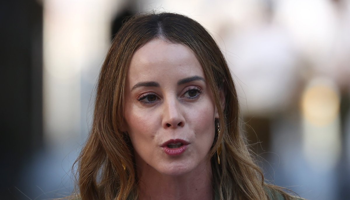 Nuevo traspié de ministra Sedini: Afirmó que Galvarino Apablaza fue ...